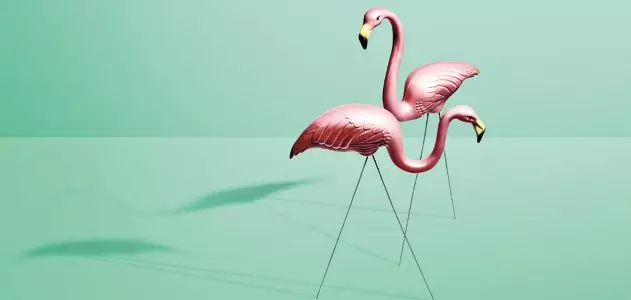 Flamingo palastik