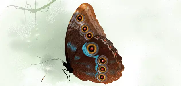 I-Biomimicry-butterfly-631.png