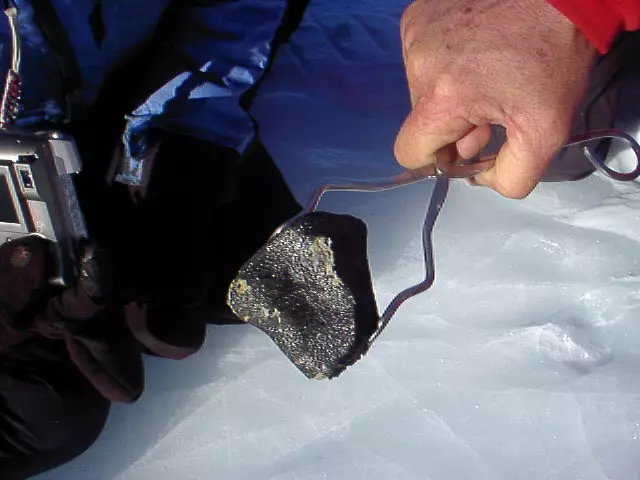 Un meteorito en proceso de ser recuperado por voluntarios en el programa de búsqueda de meteoritos en la Antártida. La brillante corteza de fusión de este meteorito sugiere que puede ser una acondrita. (ANSMET)