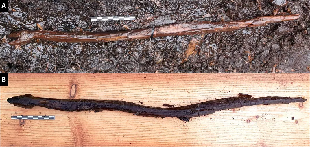 4,000-Year-Old 'Snake Staff' Discovered in Finland 25140_2