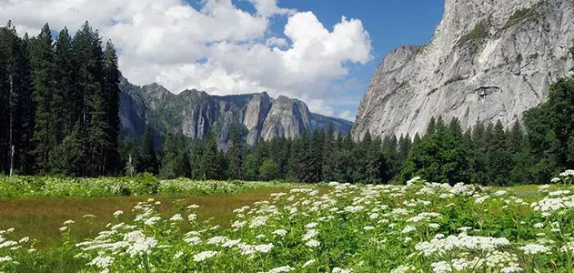 Springtime Splendor í Yosemite