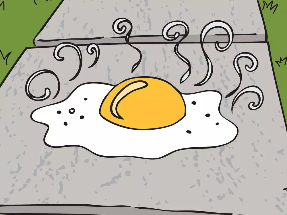 Egg Cartoon