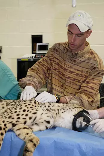 Alimentando os animais no Zoológico Nacional 25277_6