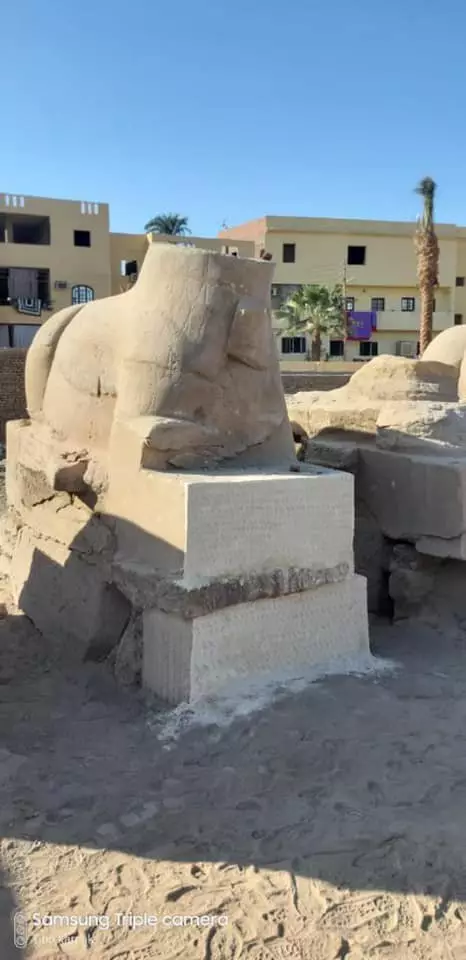 Antikvaj Ŝtonaj Virŝafaj Kapoj Elterigitaj sur la "Avenuo de la Sfinksoj" de Egiptujo