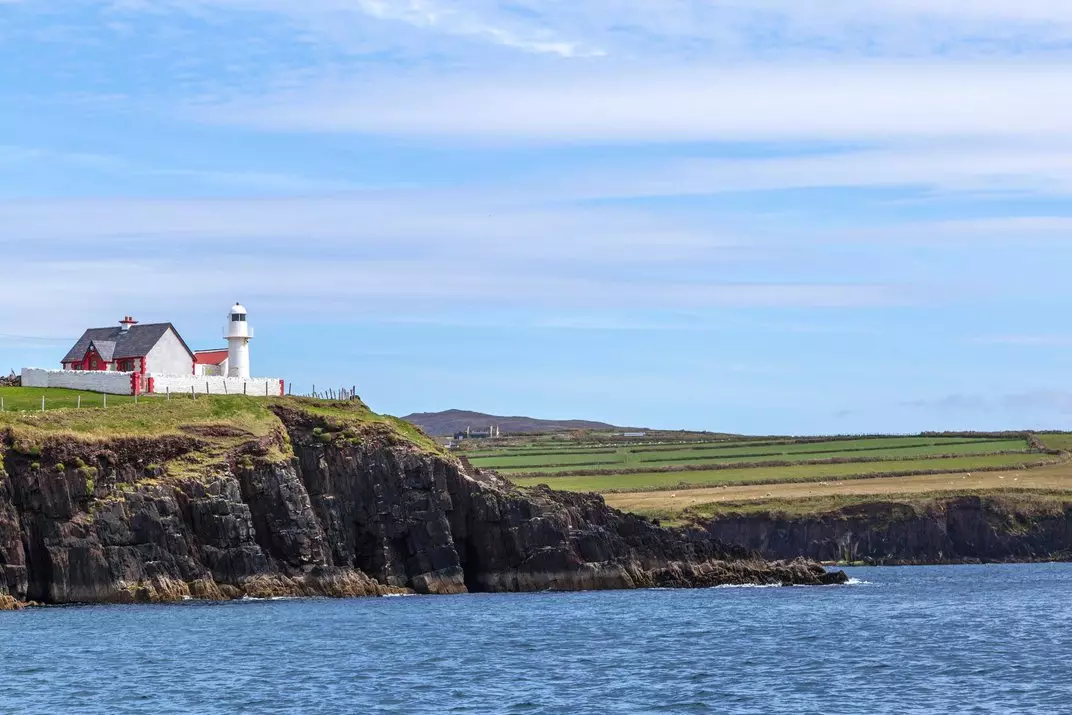 Un delfín ha estado viviendo solo en este puerto irlandés durante décadas