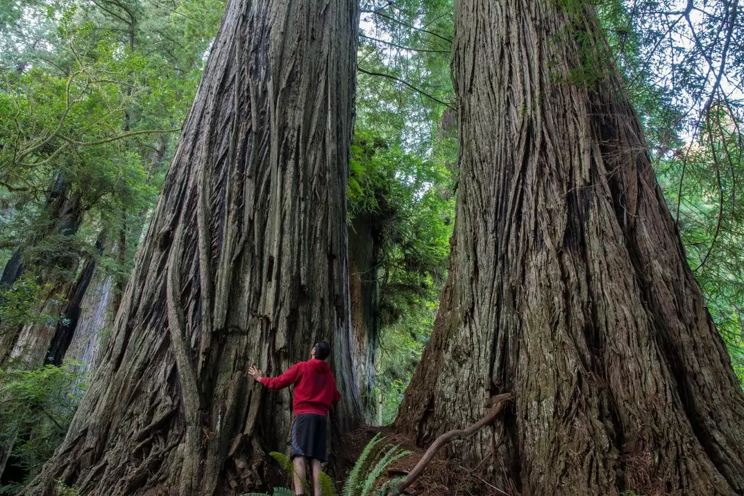 Dari Kontes Foto Kami: Nikmati Keindahan Taman Nasional Amerika 25328_12