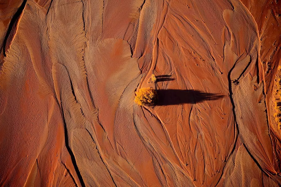 Do nosso concurso de fotos: absorva a beleza dos parques nacionais da América 25328_20