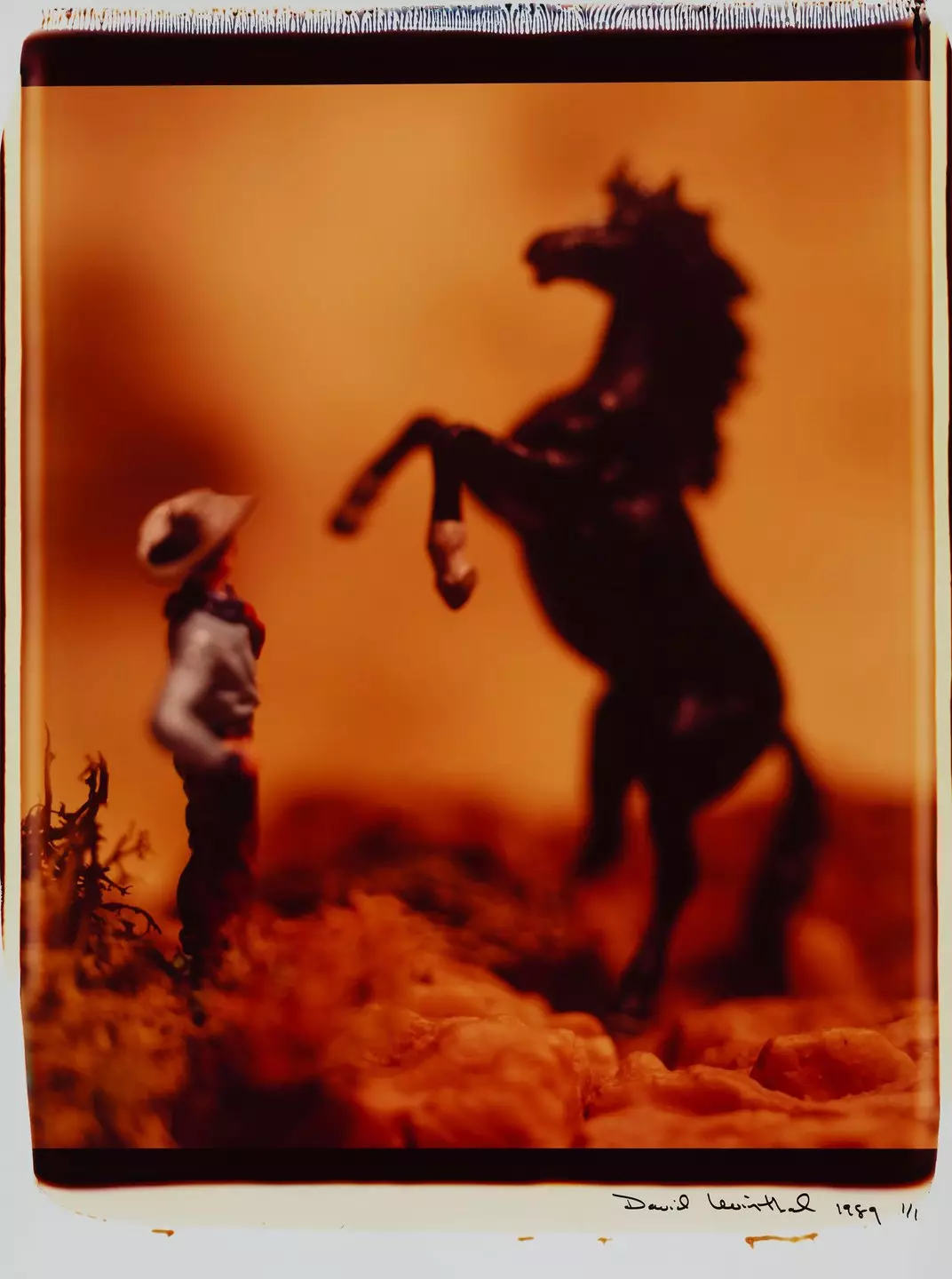 Vad David Levinthals foton av leksaker avslöjar om amerikansk myt och minne