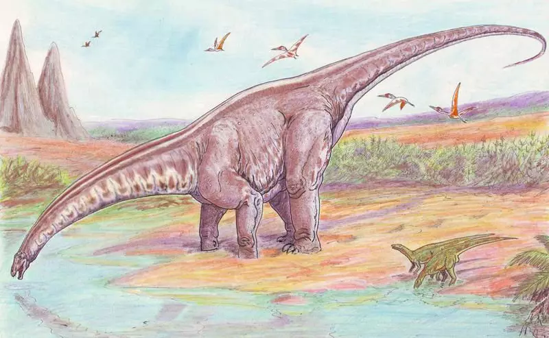 En restaurering av Apatosaurus