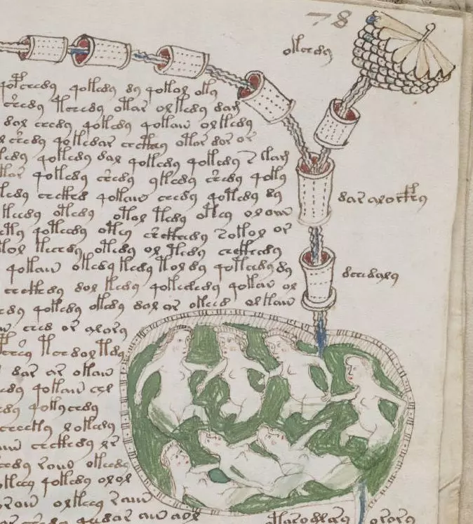 Manuscrito Voynich2