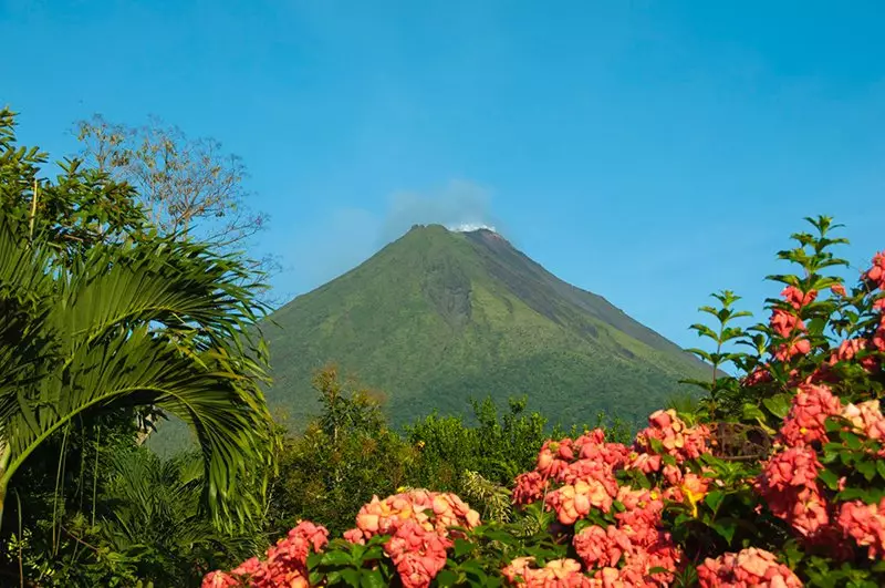 Costa Rica deixou uma empresa de suco despejar suas cascas de laranja na floresta – e isso ajudou