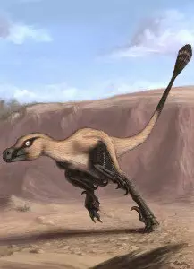 שלד משומר להפליא מציג קרוב משפחה חדש של Velociraptor