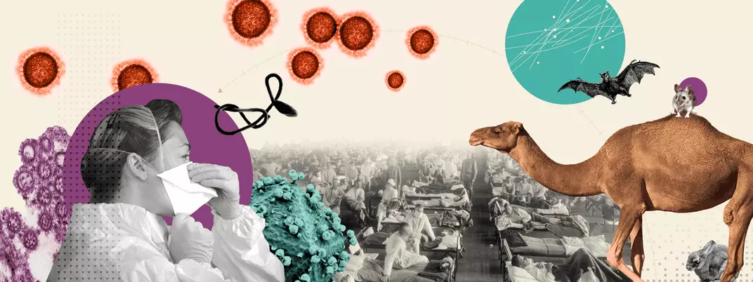 Künstlerische Illustration einer Frau, die links eine Maske trägt, mit bunten Zellen im Hintergrund; rechts Bilder von Kamelen, Fledermäusen, Mäusen und Kaninchen, die über Bildern von Grippekrankenhausbetten von 1918 zu sehen sind