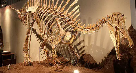 Kini Aṣiṣe Pẹlu Giraffatitan?