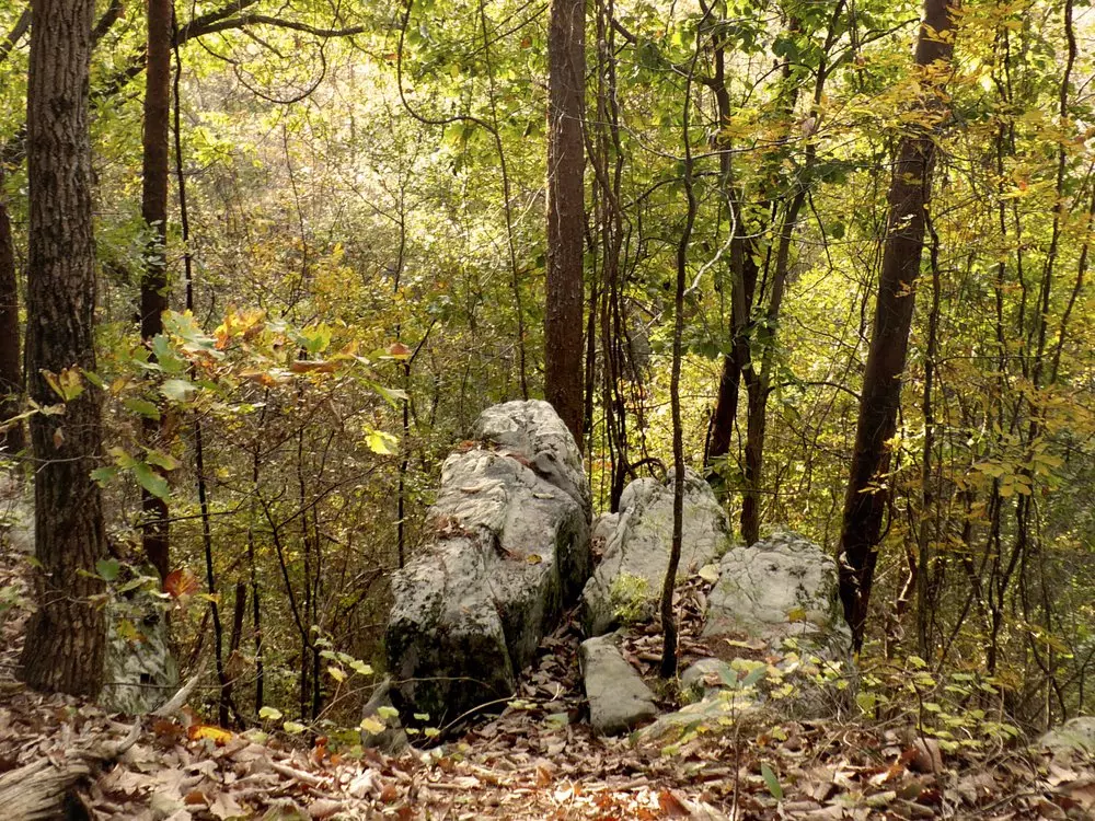 Mississippi Ati Alabama Le jẹ Awọn aaye ti Awọn Mines Iyanrin Epo Next