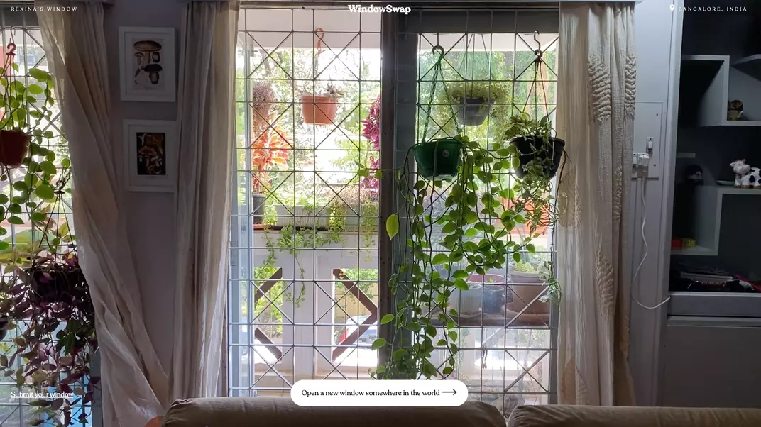 Pflanzen hängen an einem Fensterrahmen in Bangalore, Indien