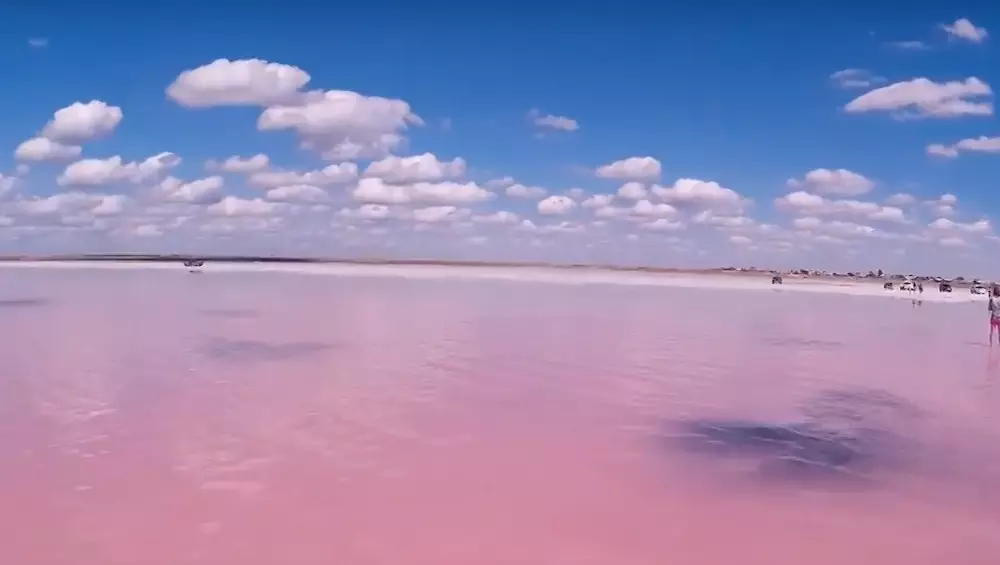 နွေရာသီအပူရှိန်ကြောင့် ဤ Siberian Lake သည် ပန်းရောင်တောက်တောက်သို့ ပြောင်းလဲသွားသည်။