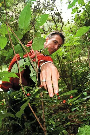 මිරිස් ගම්මිරිස්වල එතරම් උණුසුම් වන්නේ කුමක්ද? 25809_4