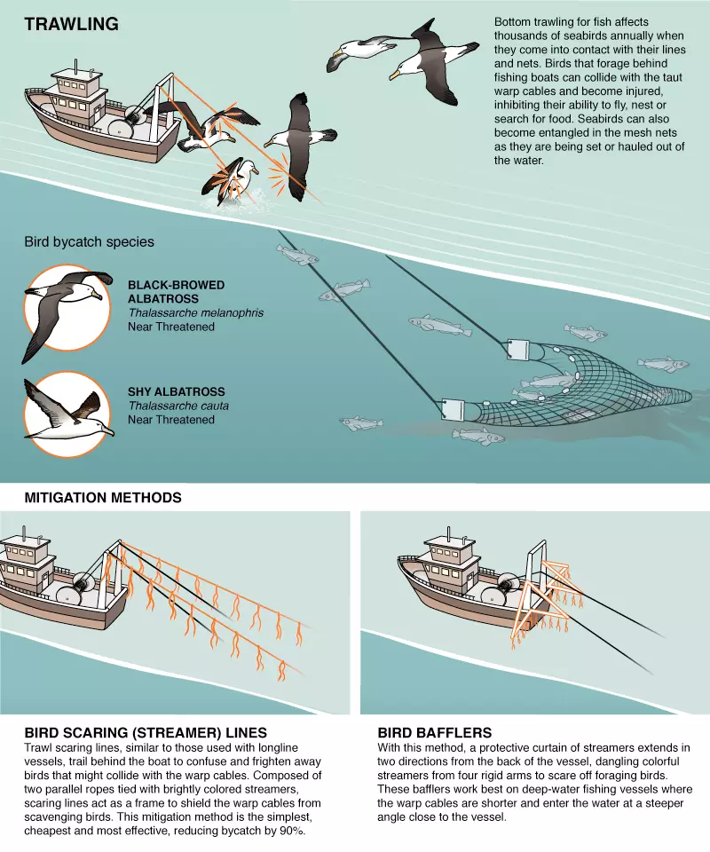 Essas correções simples podem salvar milhares de pássaros por ano de barcos de pesca