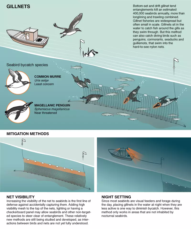 Disse enkle løsningene kan redde tusenvis av fugler i året fra fiskebåter