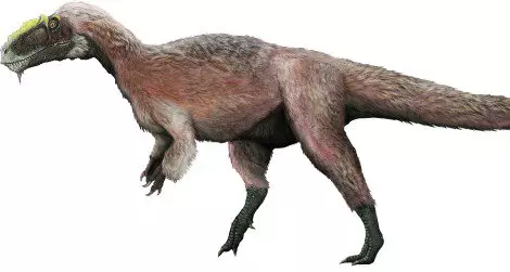 Siapa yang Tidak Suka Dinosaur Fuzzy?