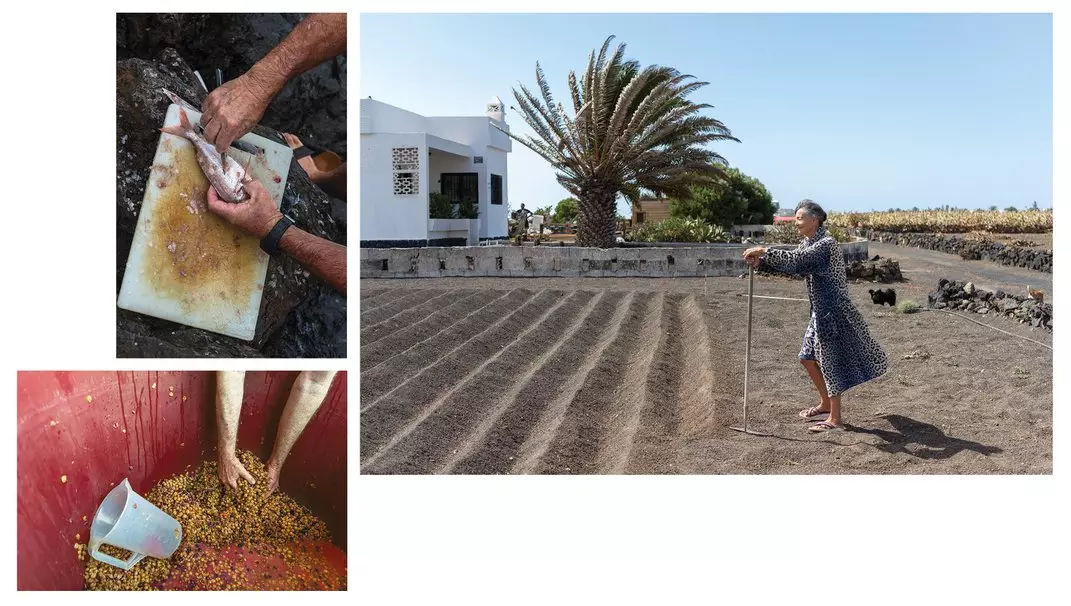 cleaning fish; hoeing field; prepping grapes for pressing