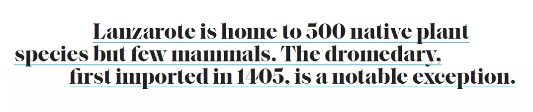 Lanzarote 500 yerli bitki növünə ev sahibliyi edir, lakin məməlilər azdır. İlk dəfə 1405-ci ildə gətirilən dromedary diqqətəlayiq bir istisnadır