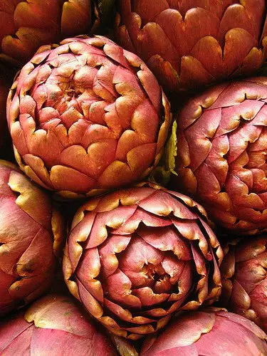 Pênc Rêyên Xwarina Artichokes