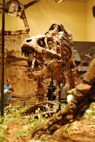 Fampitandremana Tyrannosaurus nahemotra