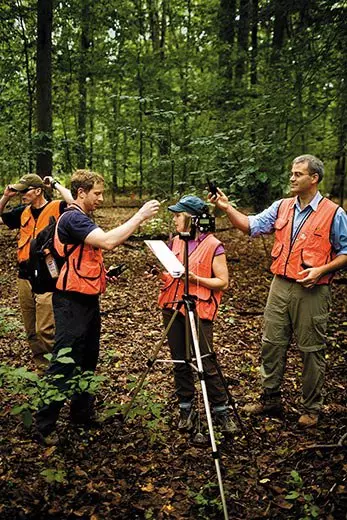 Bankdirecteuren zien het bos en de bomen 25906_2