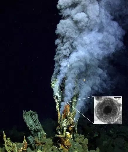 Hydrothermyske vents befruchtsje oseanen mei Narsgoud