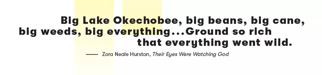 Big Lake Okechobee, kacang gedhe, tebu gedhe, suket gedhe, kabeh gedhe ... Lemah dadi sugih nganti kabeh dadi liar.