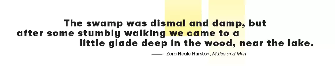 Këneta ishte e zymtë dhe e lagësht, por pas disa ecje me pengesa arritëm në një lëndinë të vogël thellë në pyll, pranë liqenit. - Zora Neale Hurston, Mushka dhe Burra