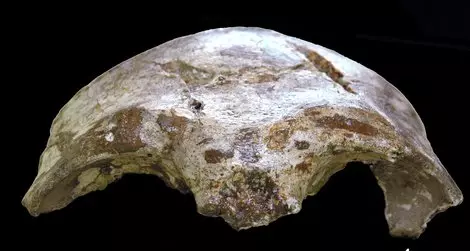 Ang Labing Karaang Fossil sa Tawo sa Southeast Asia?