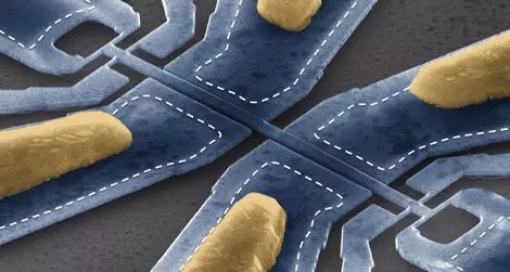 Uma micrografia de varredura eletrônica