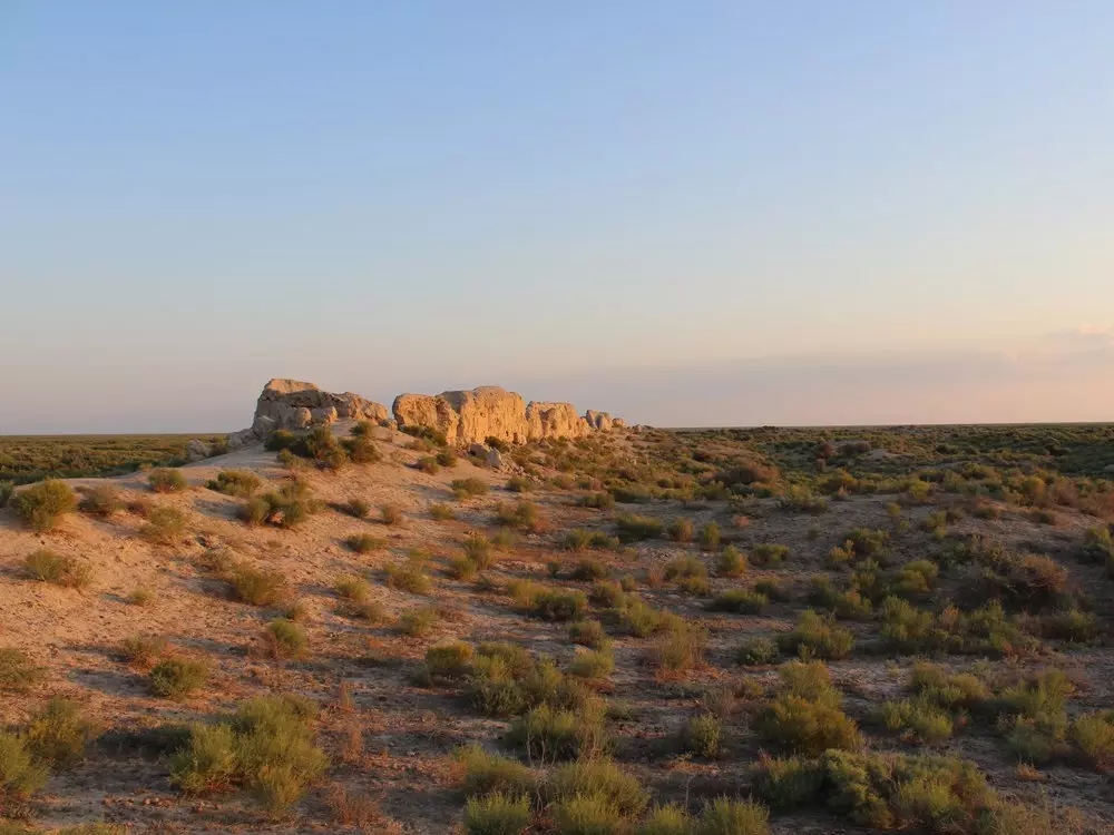 Nyob rau hauv Ancient Kazakhstan, Nomadic Herders khaws lawv cov Tsiaj Tsiaj Tsiaj Tsiaj