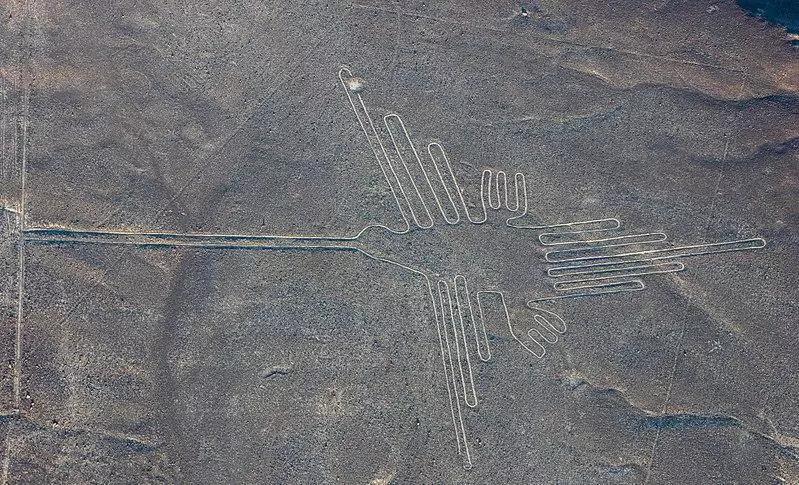 Gli scienziati identificano gli uccelli esotici raffigurati nelle misteriose linee di Nazca del Perù