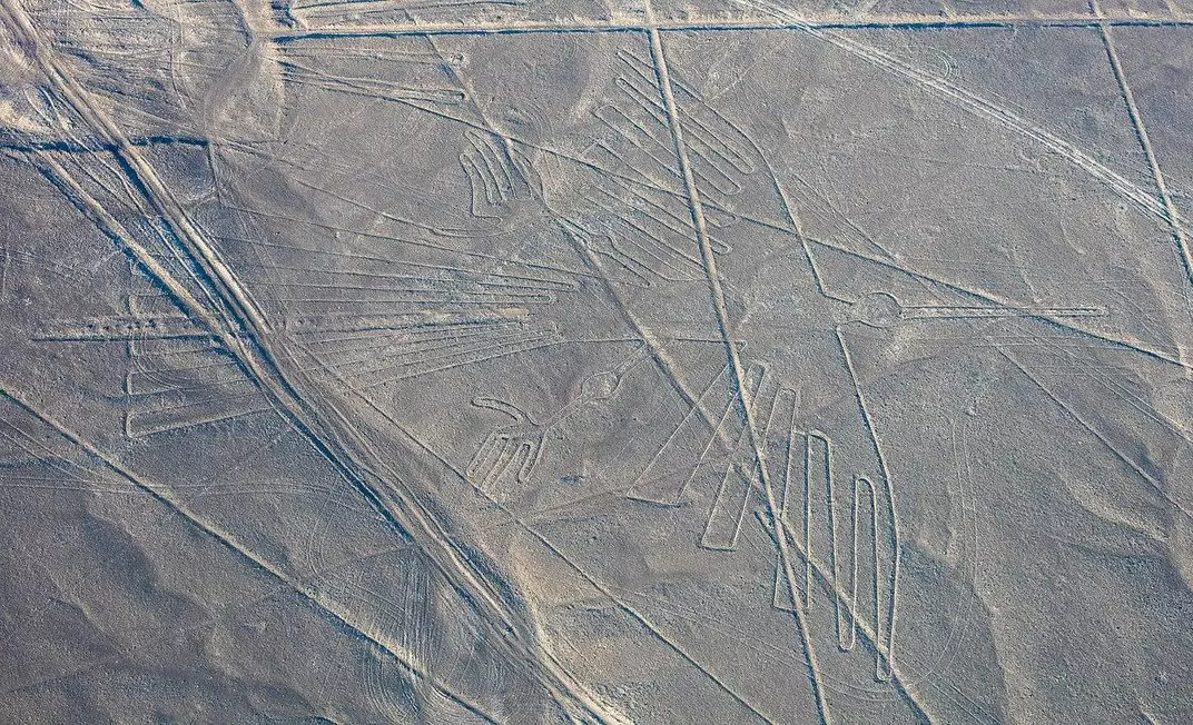 Mae gwyddonwyr yn Nodi Adar Ecsotig a Darlunnir yn Llinellau Nazca Dirgel Periw