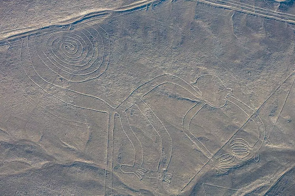 Zinātnieki identificē eksotiskos putnus, kas attēloti Peru noslēpumainajās Naskas līnijās