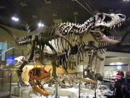 Blog Carnival Edition #6 -- Extinction, Tokyo Museums, and Official State Dinosaur of Texas