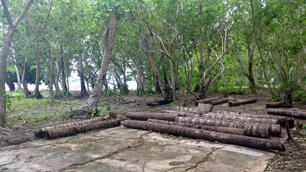 Menyelam dengan Bangkai WWII di Kepulauan Solomon 26157_13