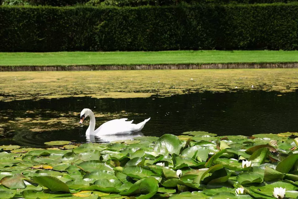 Step Inside 12 of England's Most Beautiful Gardens 26215_11