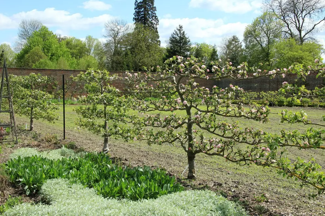 Melangkah ke dalam 12 Taman Terindah di England 26215_33