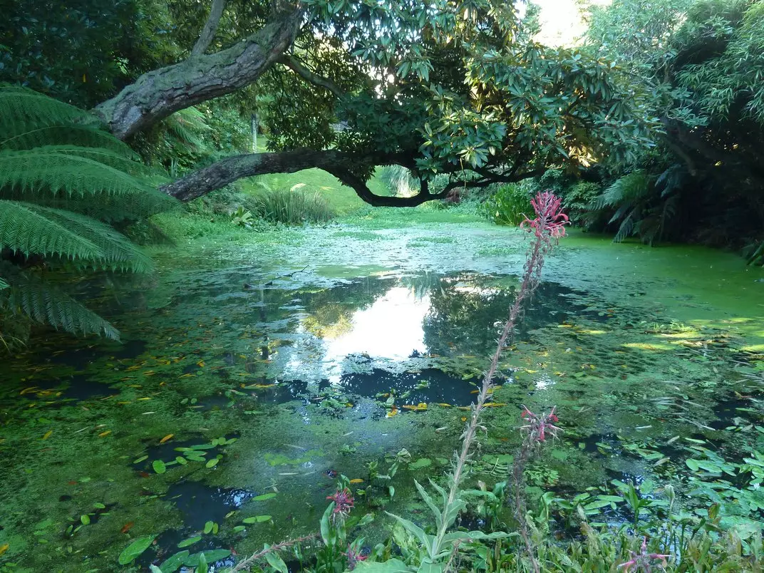 Entra en 12 de los jardines más bellos de Inglaterra 26215_36