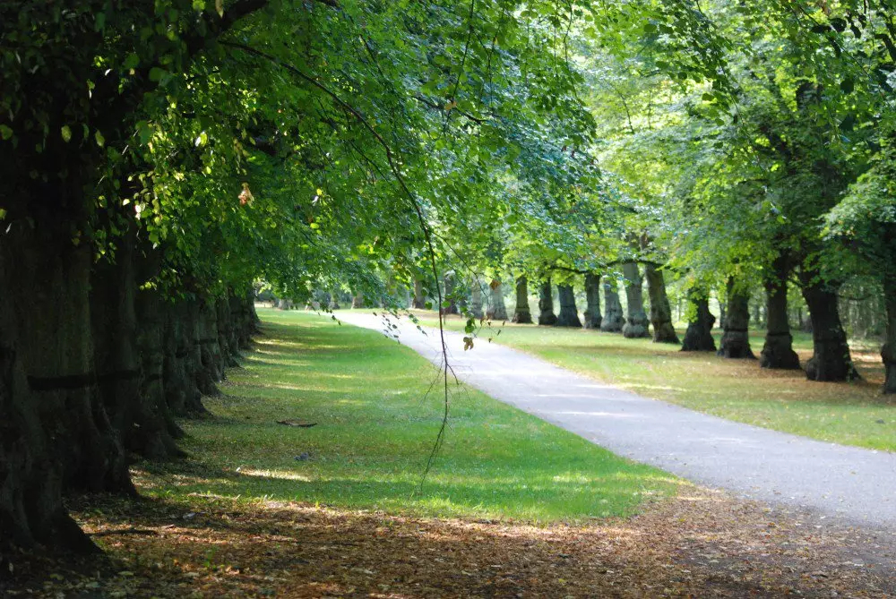 Entra en 12 de los jardines más bellos de Inglaterra 26215_47