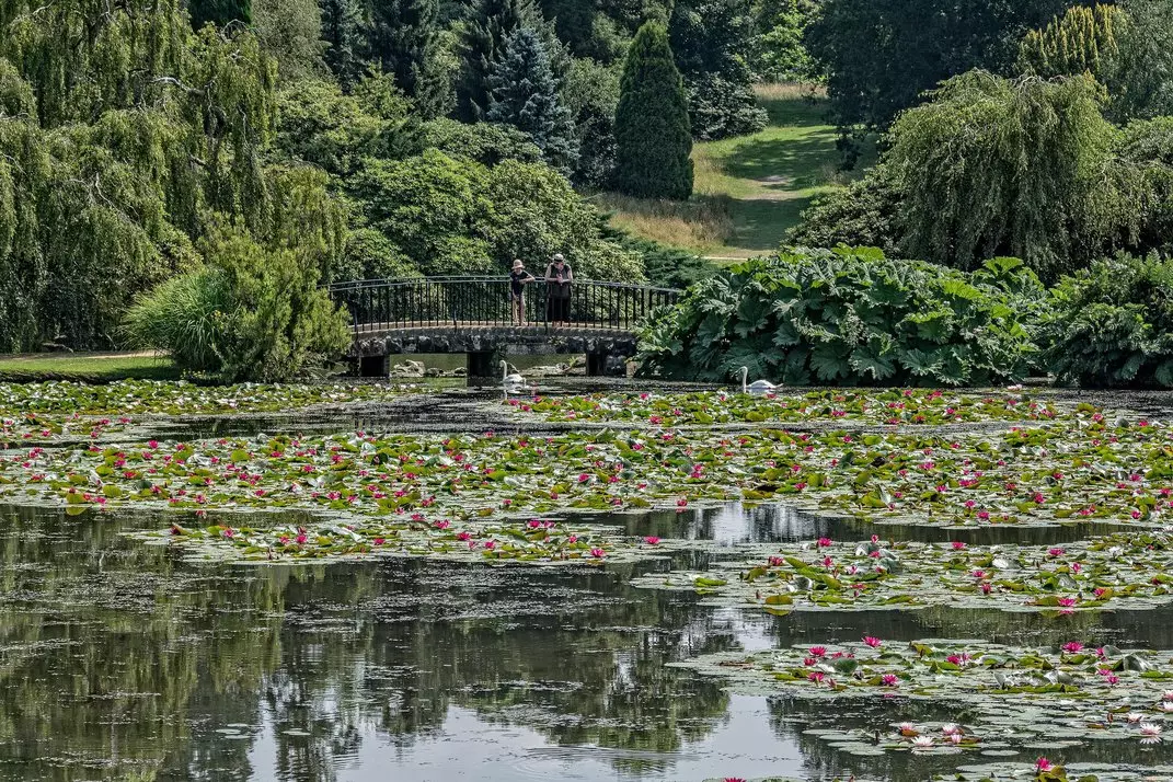 Step Inside 12 of England's Most Beautiful Gardens 26215_50