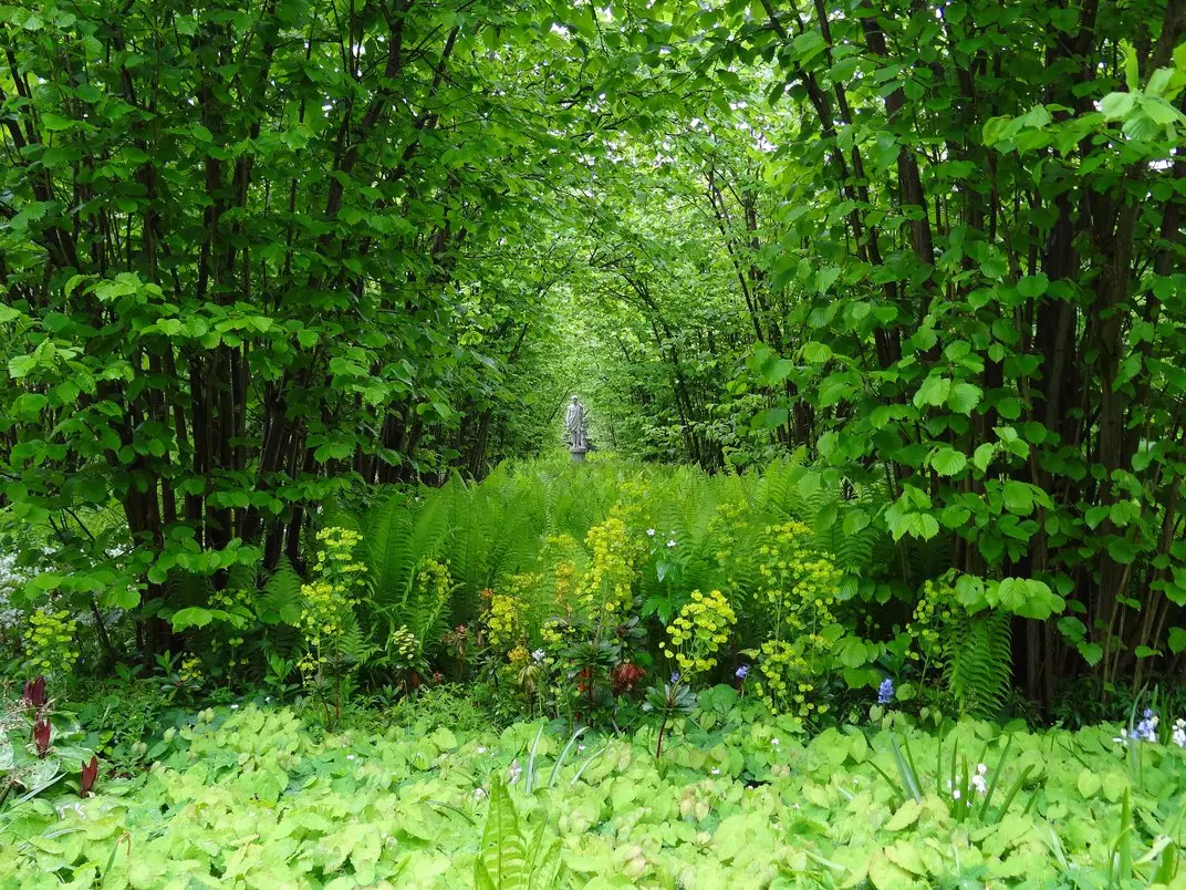 Step Inside 12 of England's Most Beautiful Gardens 26215_57