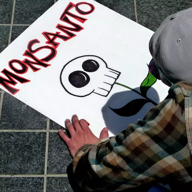 Monsanto Is Giving Up on GMOs in Europe