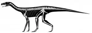 Nové fosílie naznačujú vysokú rozmanitosť medzi blízkymi príbuznými dinosaurov