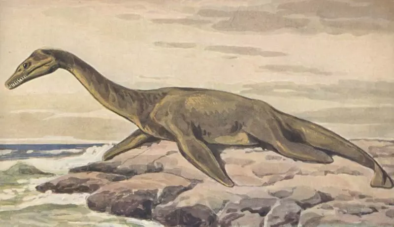 Penggambaran seorang seniman tentang Plesiosaurus, spesies yang sama yang dilaporkan milik Nessie.